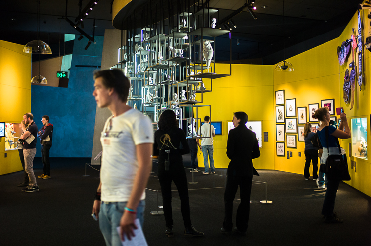 DreamWorks Animation: The Exhibition - No Foreign Lands